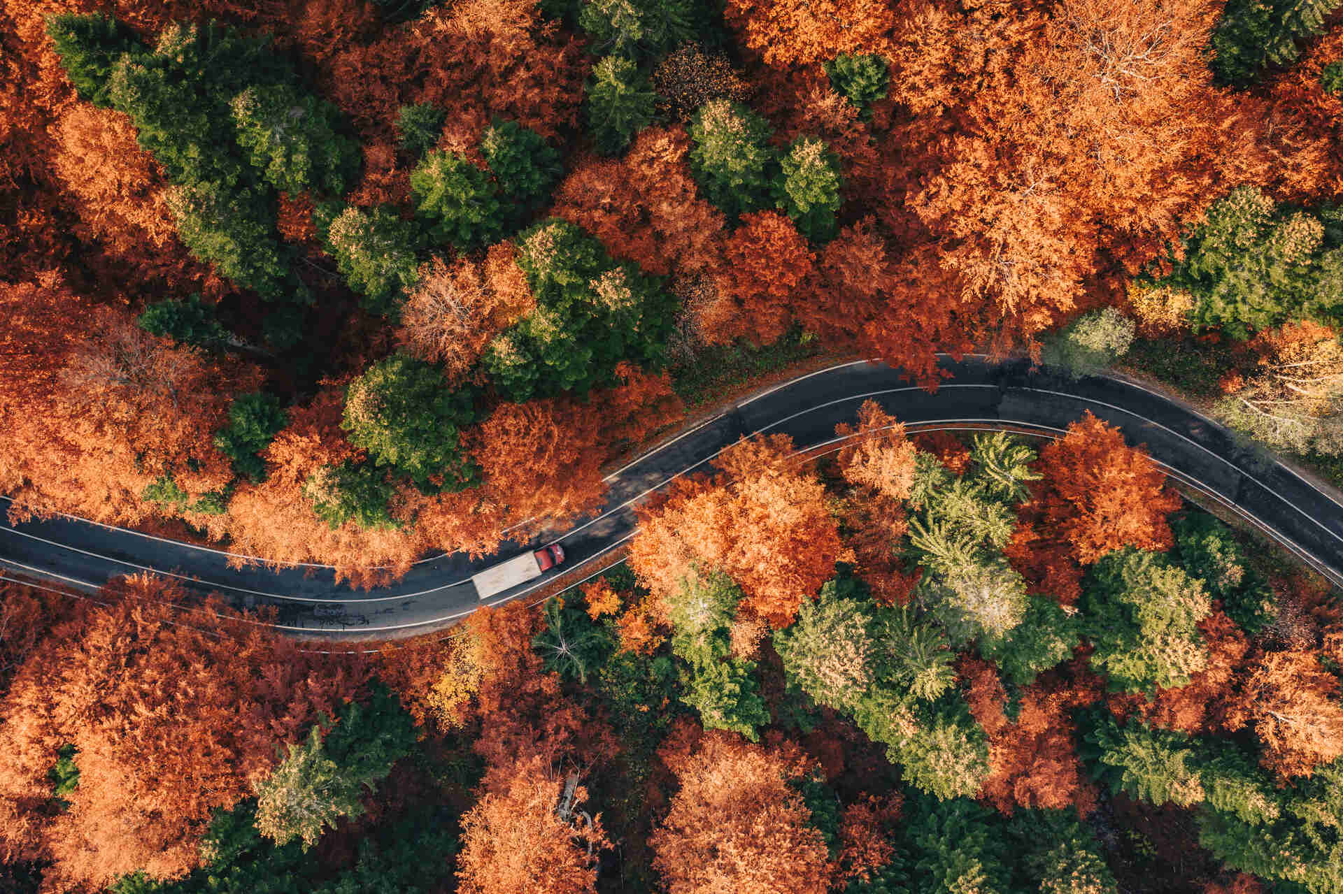 Moving During the Fall - Sunset International Shipping